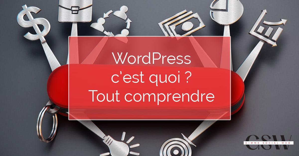 WordPress c'est quoi ? Et pourquoi un tel succès ? Explications...